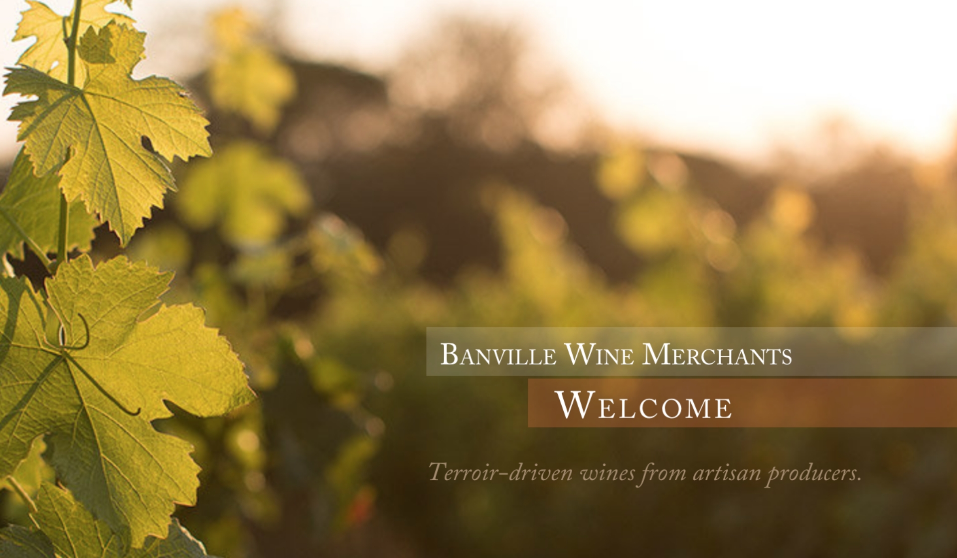 Banville Wine Merchants Appoints Martignetti Companies of CT as Distributor