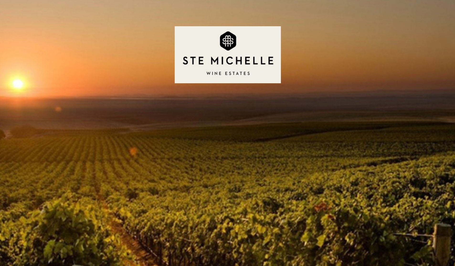 Ste. Michelle Wine Estates Appoints Martignetti Companies in Massachusetts